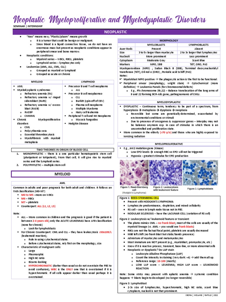 SEMINAR 3 Neoplastic, Myeloproliferative and Myelodysplastic Disorders | PDF | Medical ...