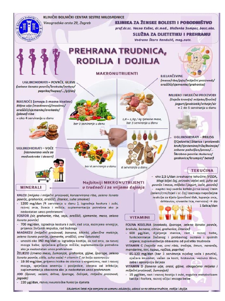 Prehrana Trudnica I Dojilja | PDF