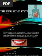 The Journey of A Cheese Sandwich! | PDF | Digestion | Digestive System