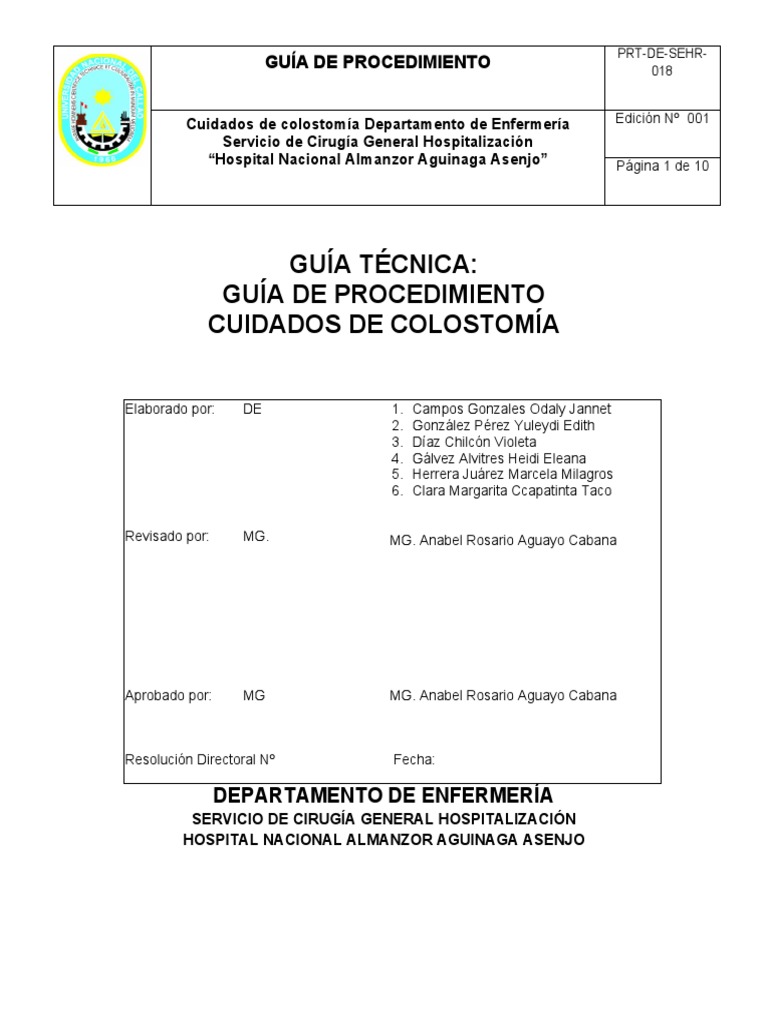 Guia de Procedimiento de Enfermeria | PDF