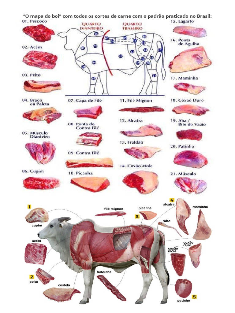 Partes Do Boi | PDF