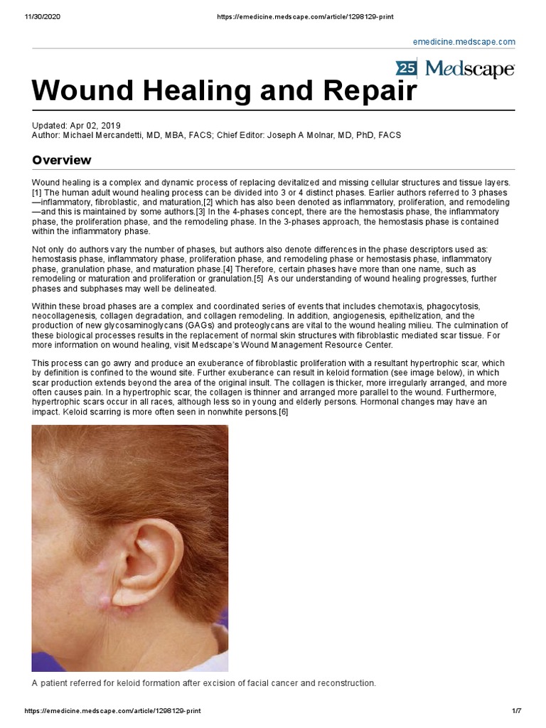 Stages of Wound Healing Processes | PDF | Wound Healing | Scar