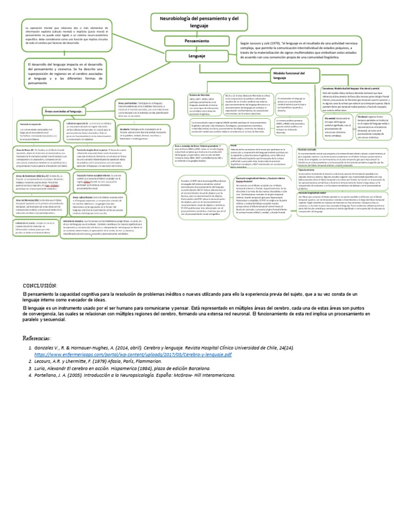 Neurobiología Del Pensamiento y Lenguaje | PDF | Pensamiento | Cerebro