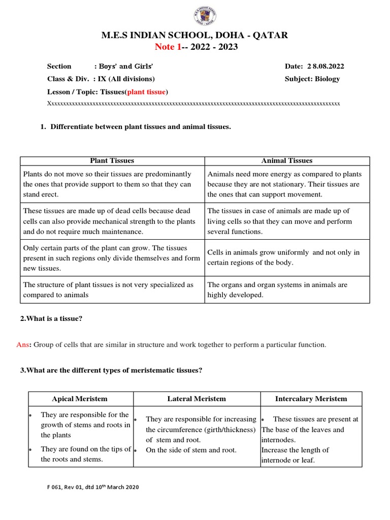Class 9 Plant Tissues Notes - 1, 2022-23 | PDF | Tissue (Biology) | Leaf