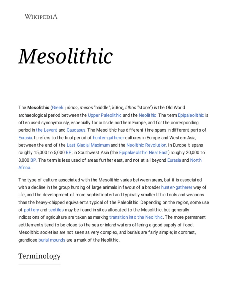 The Transitional Period: An Overview of the Mesolithic Era in Europe | PDF