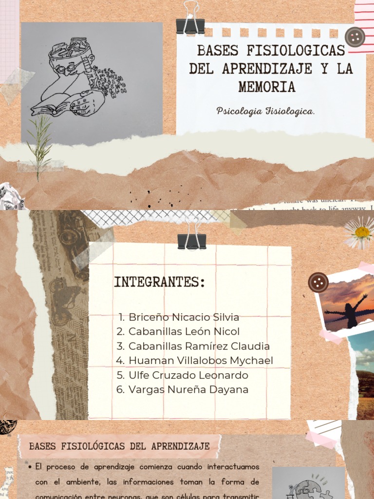 Memoria En El Aprendizaje Pdf Memoria Aprendizaje