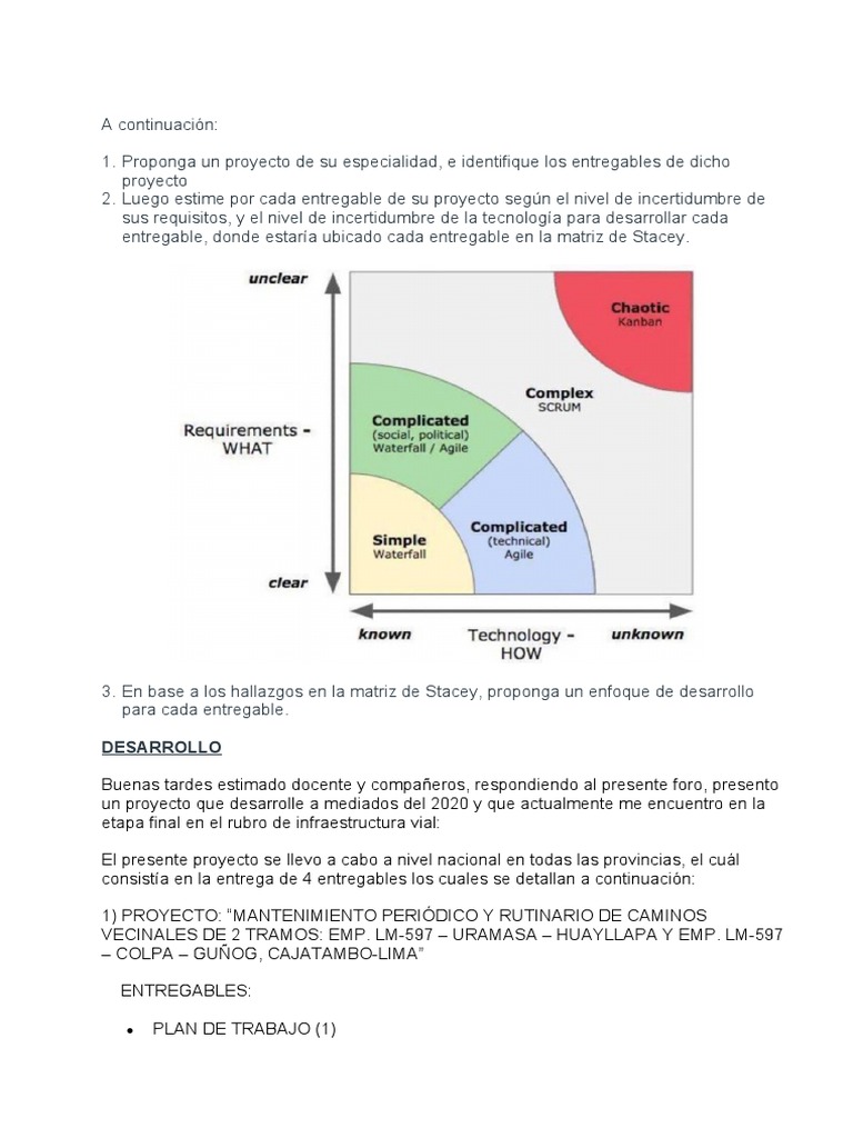 Entregables en la Matriz de Stacey | PDF | Negocios | Tecnología