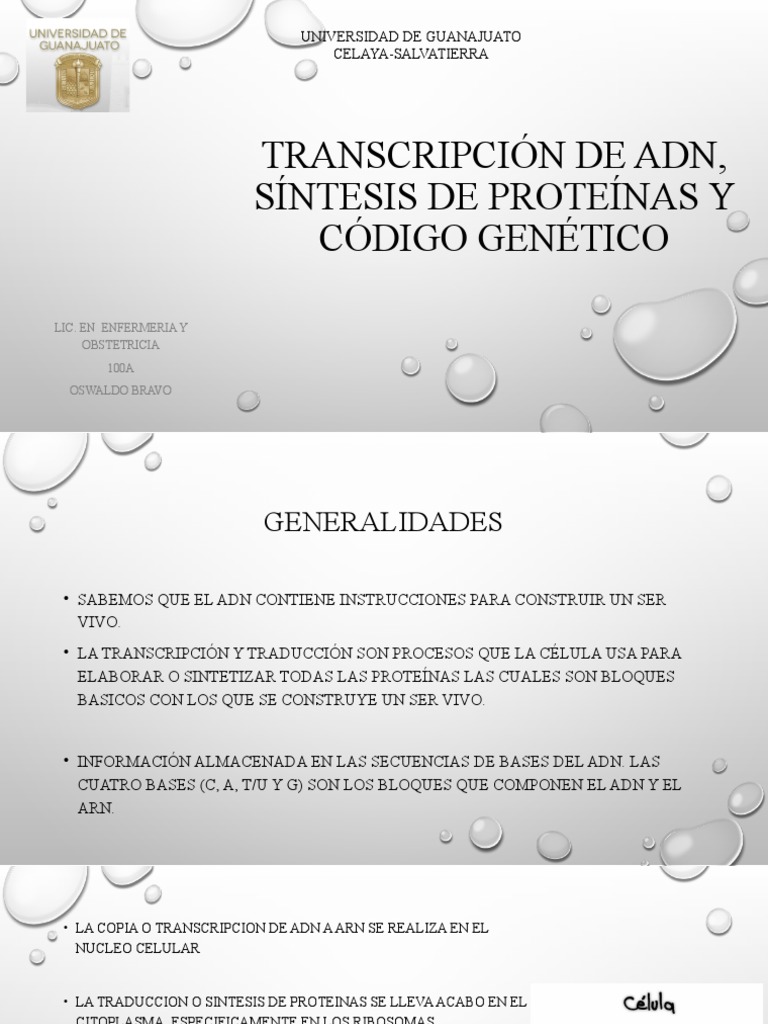 TRANSCRIPCIÓN DE ADN, SÍNTESIS DE PROTEÍNAS | PDF | Adn | Rna