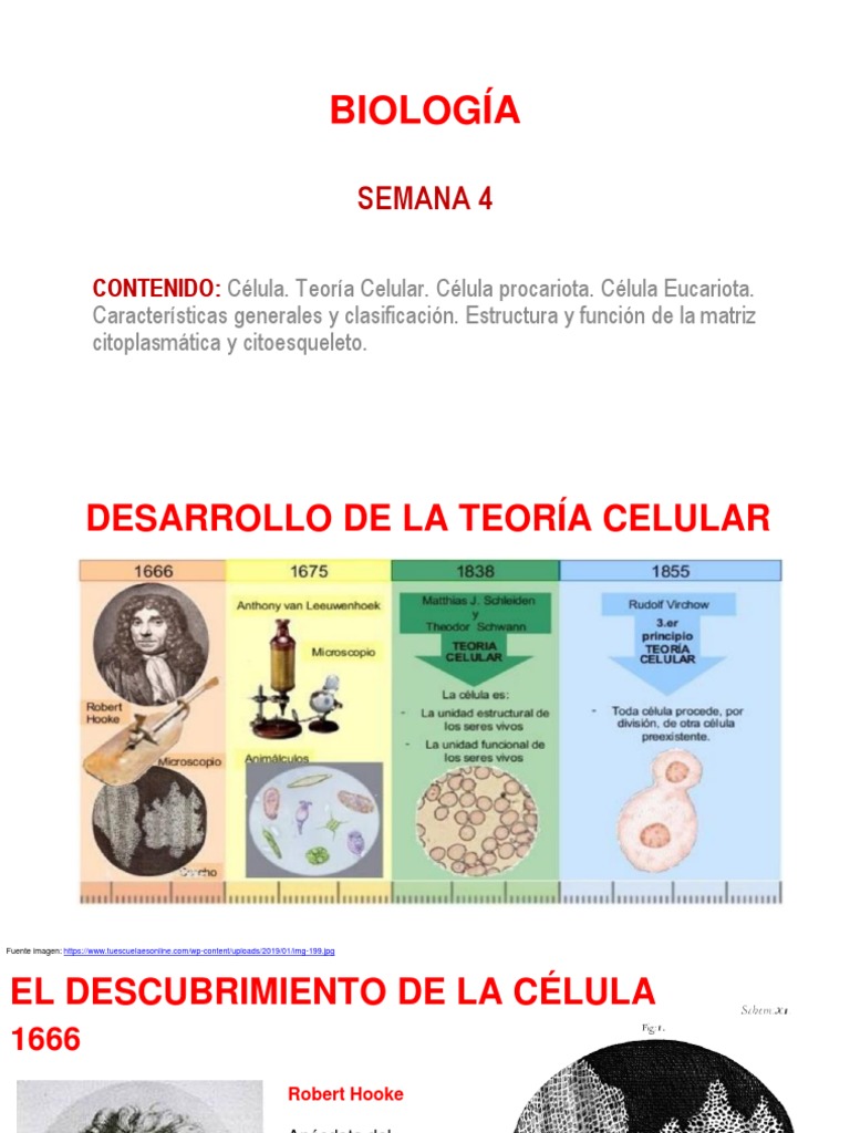 Teoría Celular y Tipos de Células | PDF | Biología Celular) | Bacterias ...