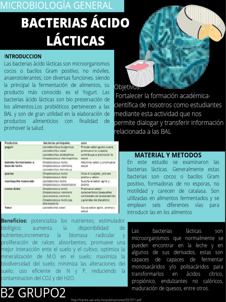 Porter Bacterias Lácticas - PDF | PDF | Las bacterias | Alimentos