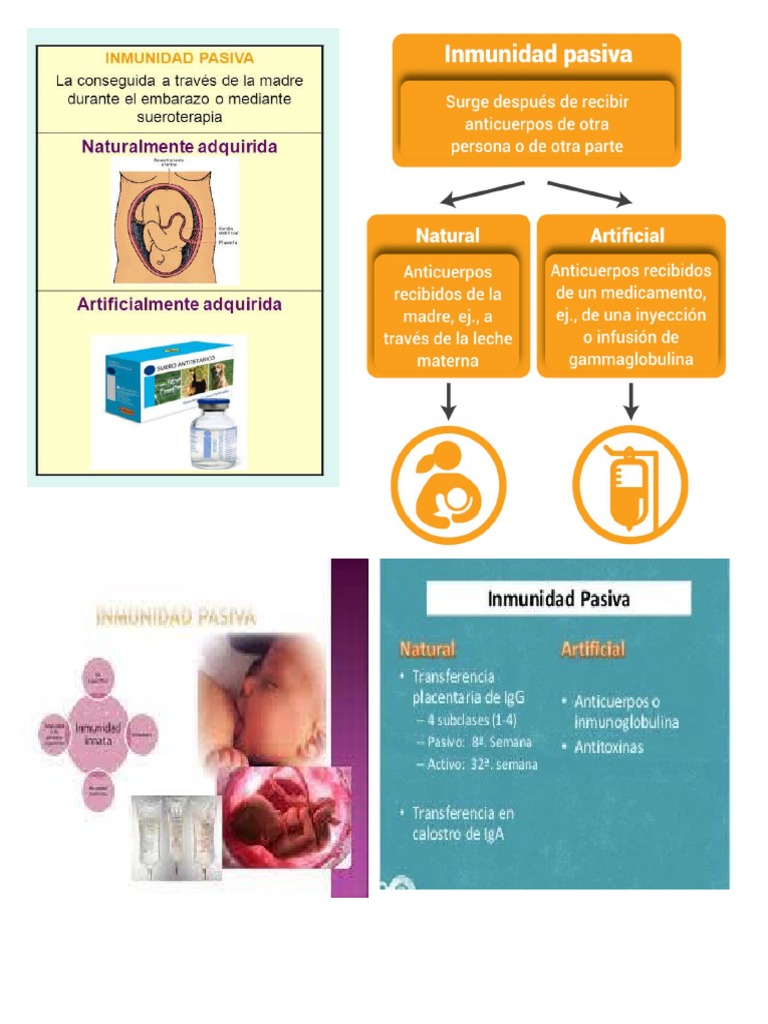 Tipos de Inmunidad | PDF