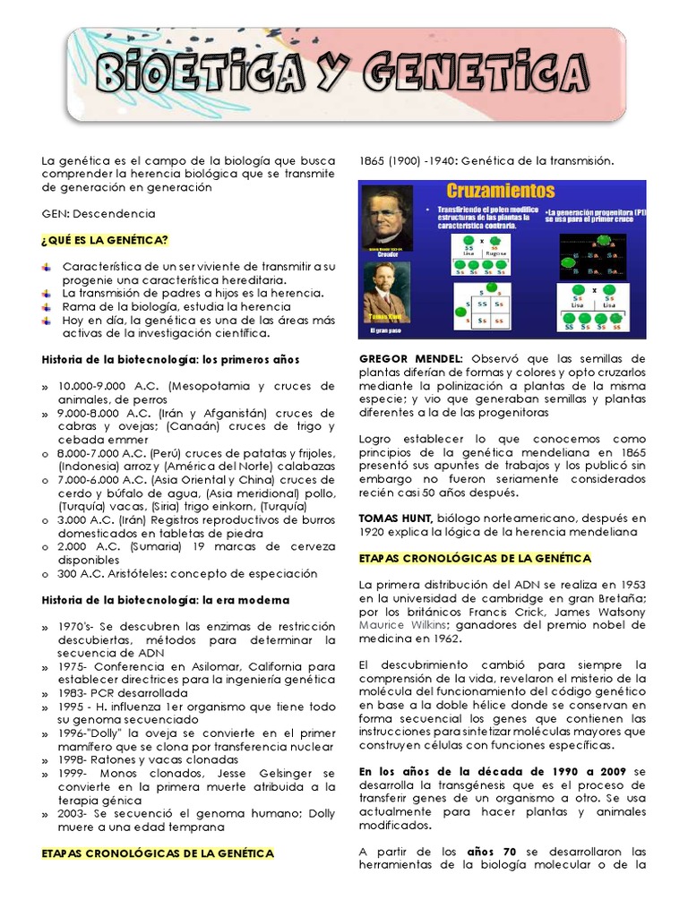 Bioetica y Genetica | PDF | Clonación | Organismo genéticamente modificado