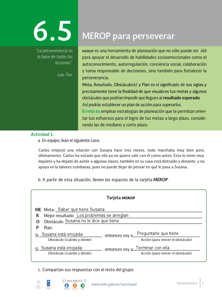 6.5 E MEROP para Perseverar | PDF