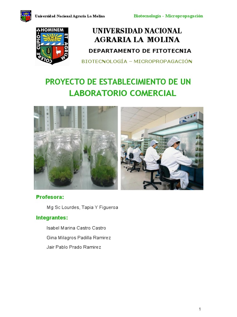 Instalacion Labo | PDF