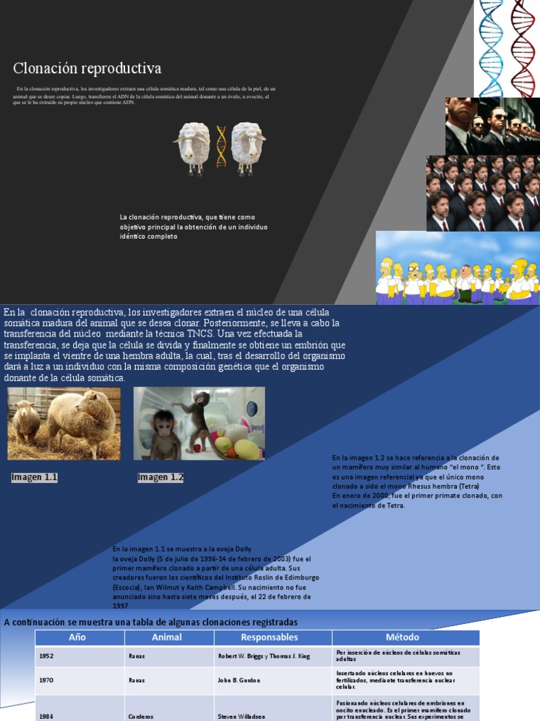 Clonacion Reproductiva | PDF | Clonación | Biología