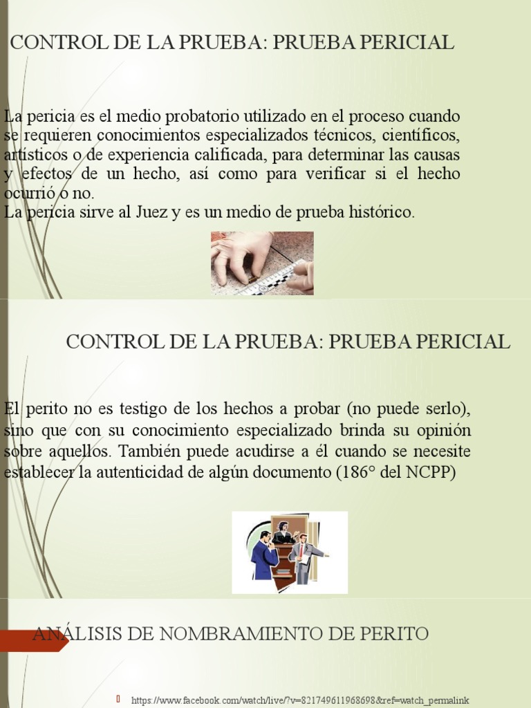 Control de la Prueba Pericial | PDF | Testigo experto | Validez ...
