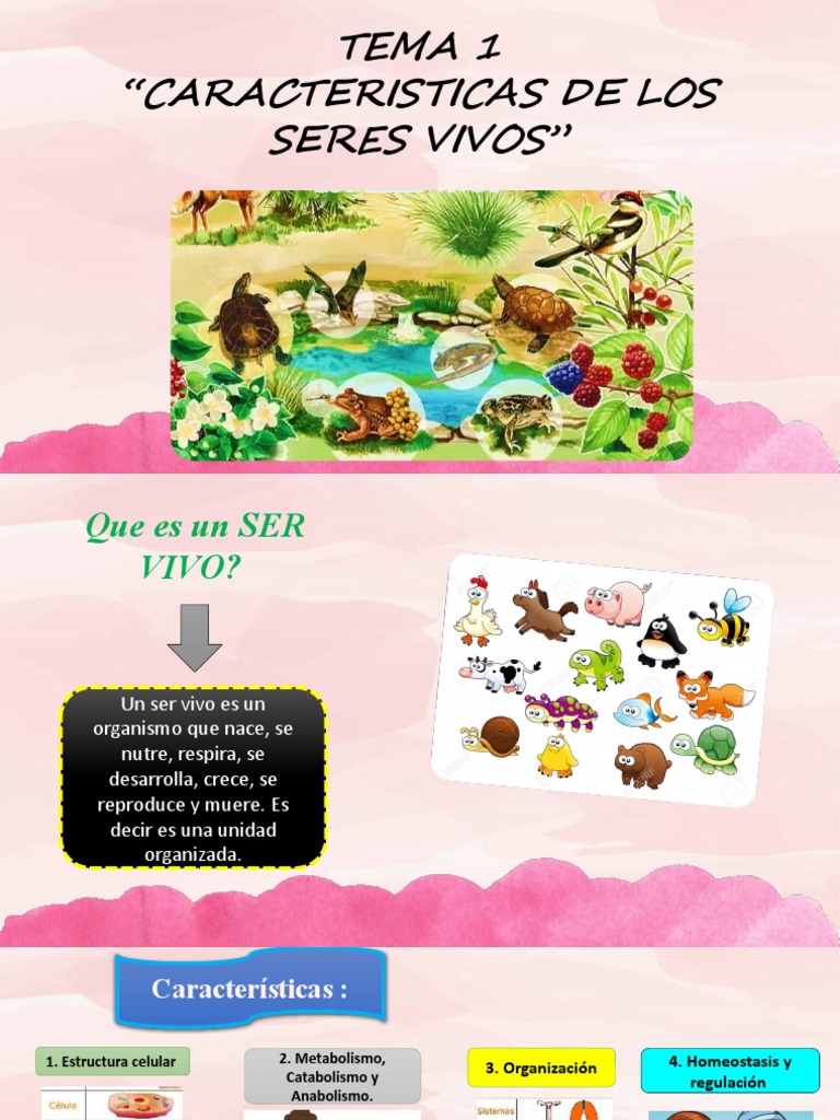 Tema 1 - Caracteristicas de Los Seres Vivos | PDF
