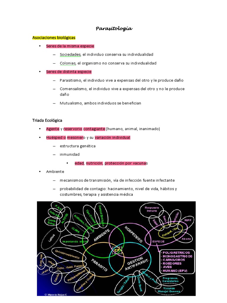 Micro - Resumen | PDF