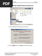 BIR Relief System Data Entry Guide | PDF | Menu (Computing) | Database ...