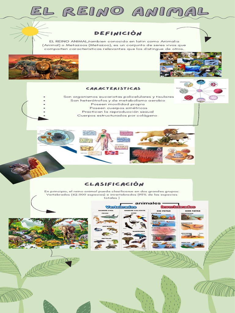Clasificación y características del reino animal | PDF
