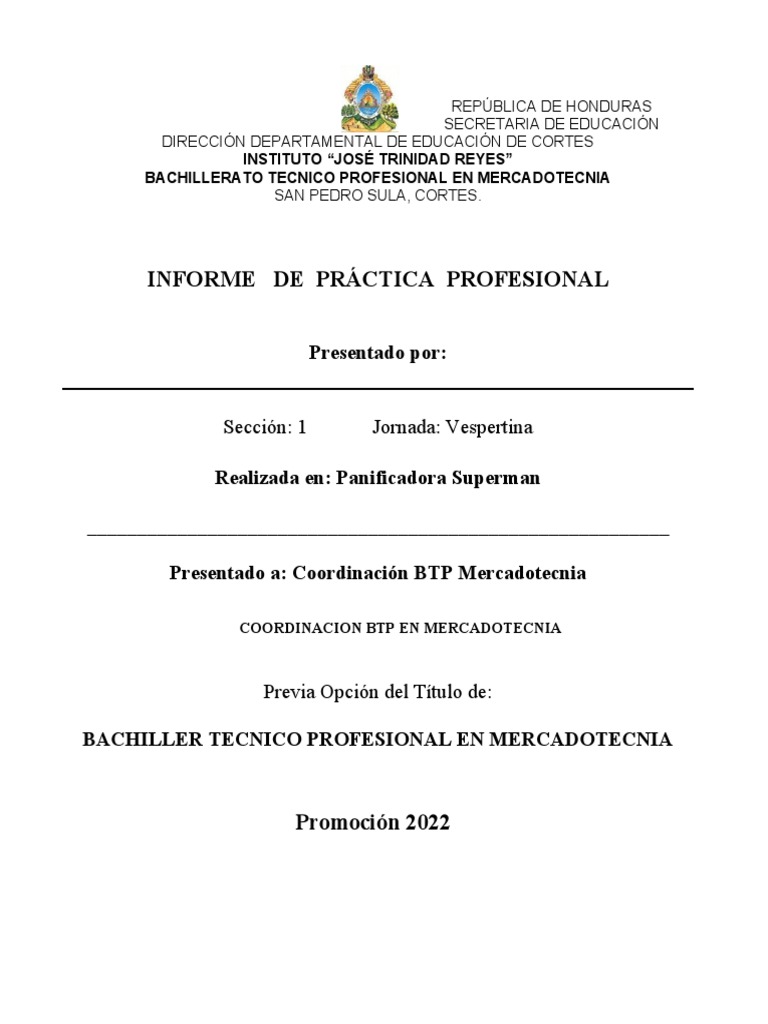 Informe de Practica Profesional BTP MKT 2022 | PDF | Marketing ...