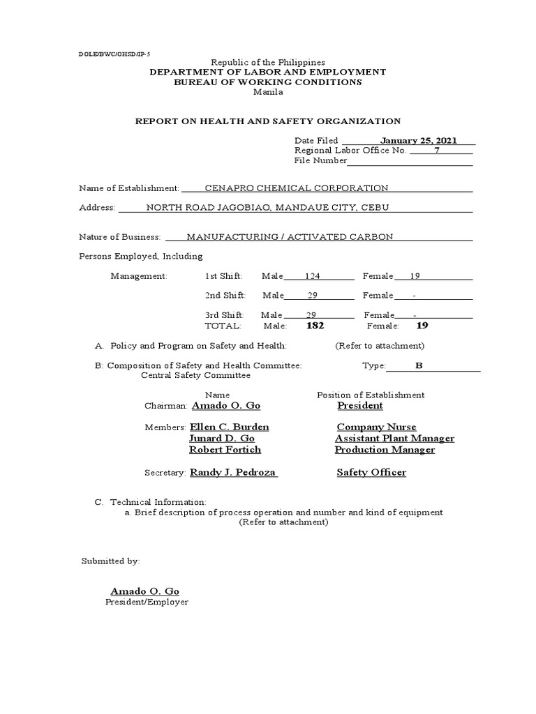 Report On Health and Safety Organization Form (DOLE - BWC - OHSD - IP-5 ...