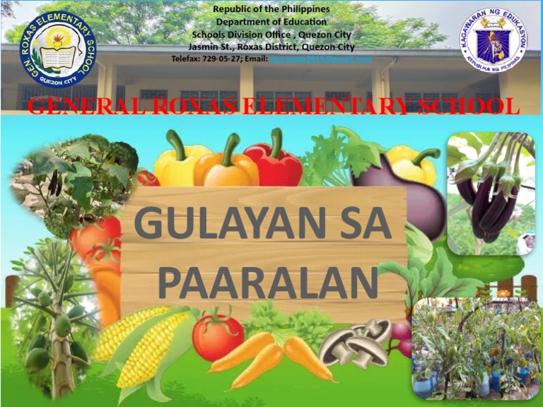 Gulayan Sa Paaralan Tarp | PDF