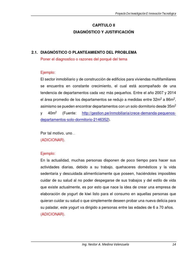 Plantilla - Diagnostico y Justificación | PDF | Perú | Mercado (economía)