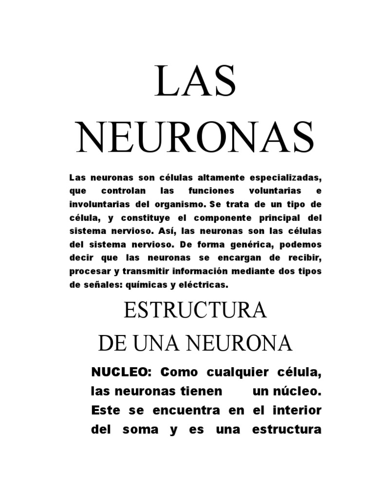 Las Neuronas | PDF | Neurona | Axon