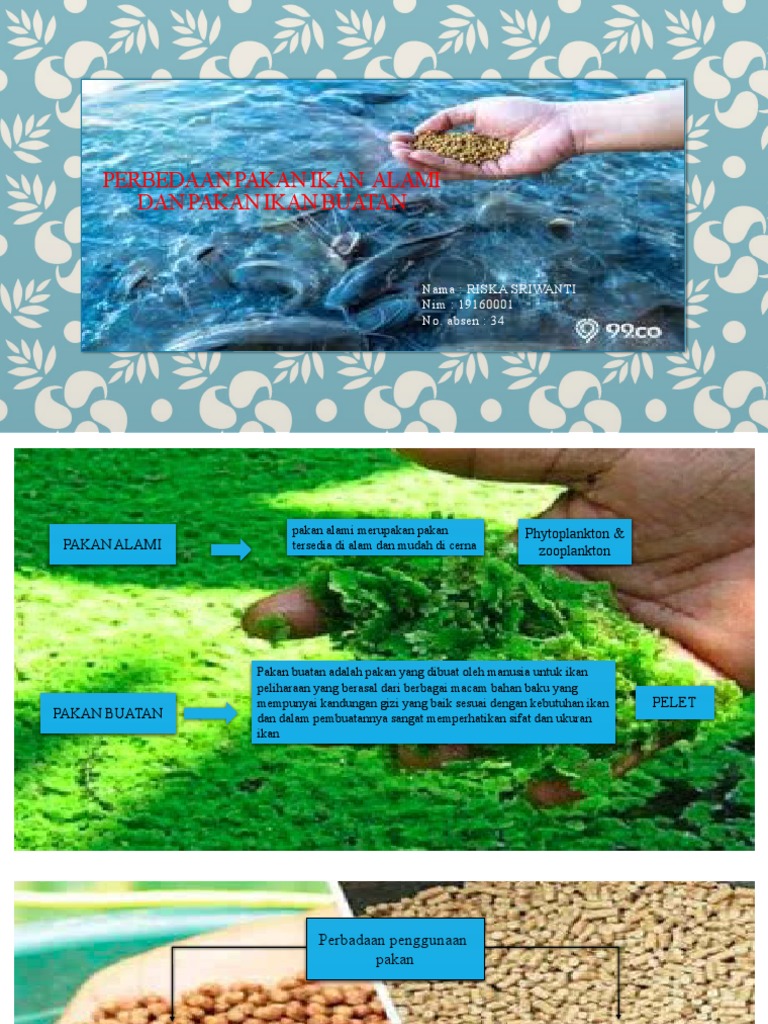 ATI RISKA SRIWATI (34B) 19160001 Perbedaan Pakan Ikan Alami Dan Pakan ...