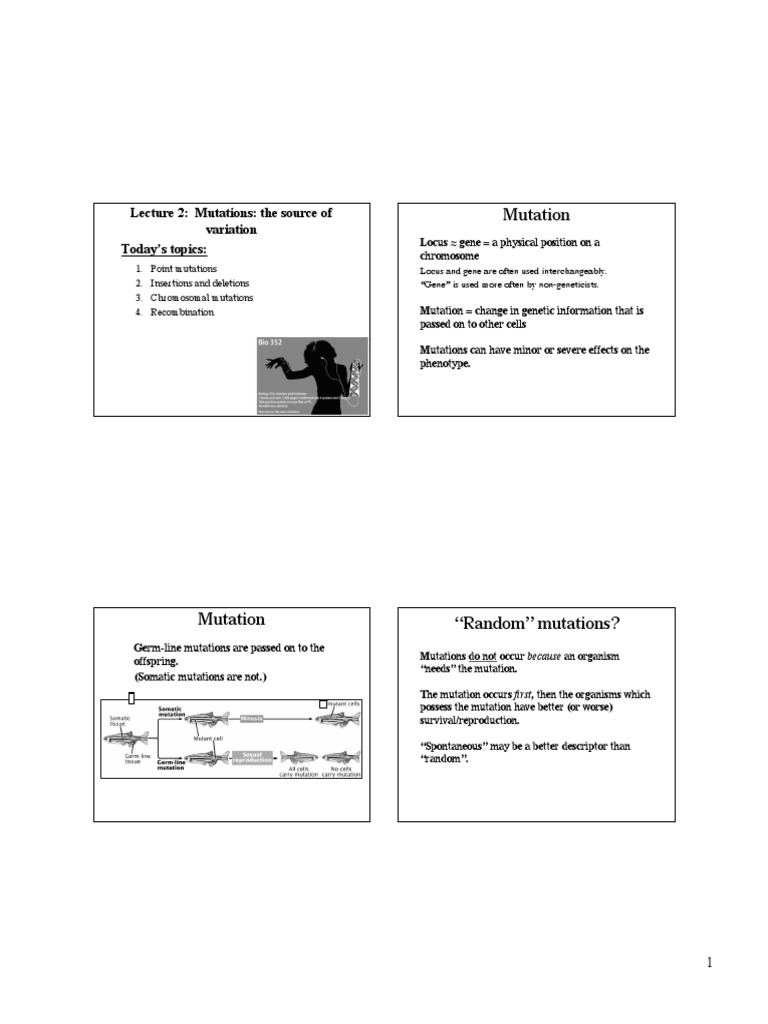 Mutation | PDF | Mutation | Point Mutation