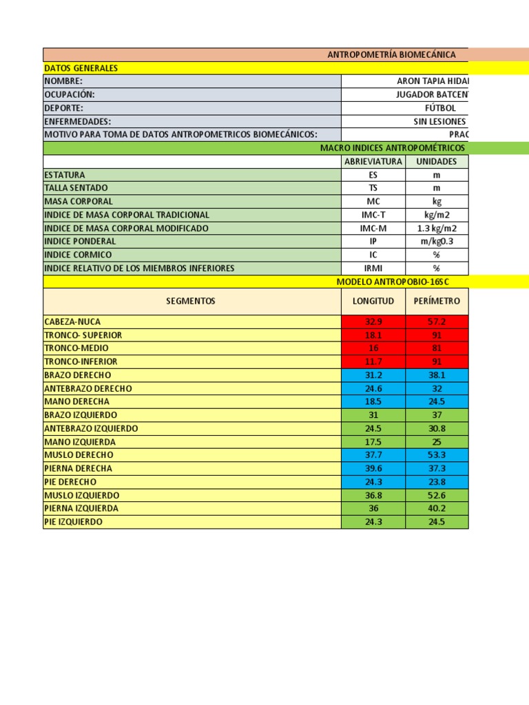 Analisis Postural | PDF | Anatomía humana | Anatomía