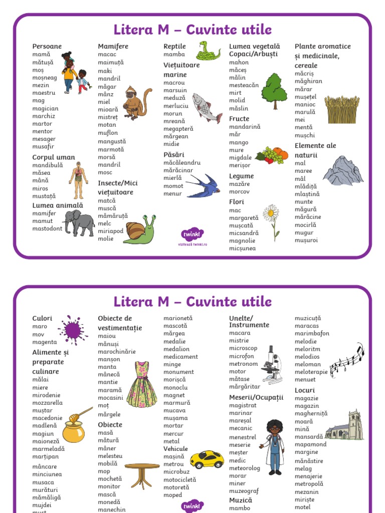 Litera-M - Cuvinte-Utile Ver 3 Ver 2 | PDF