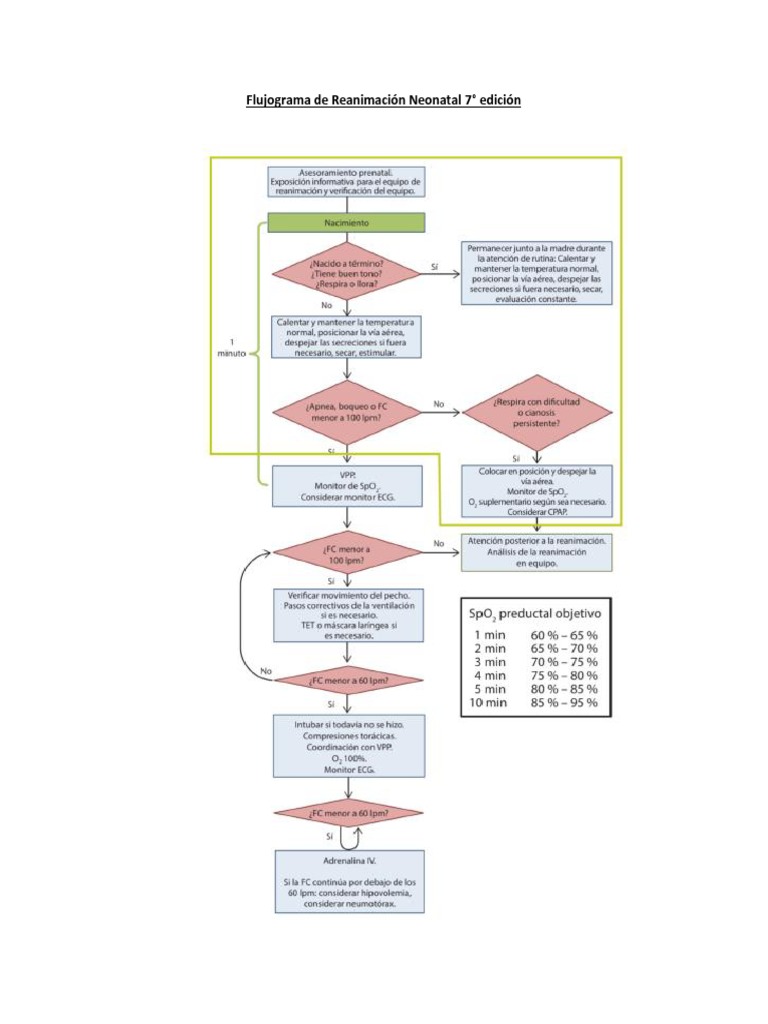 Diagrama De Reanimación Neonatal Nrp 7.ª Edición Guia Practica De