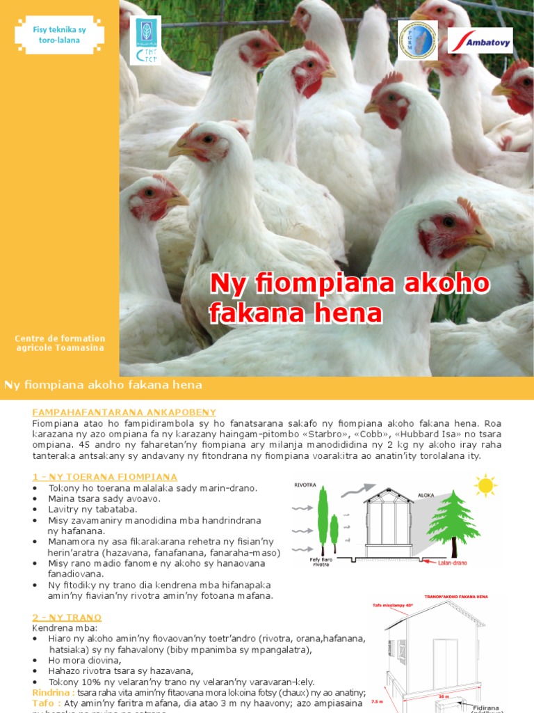 Fiompiana Akoho Fakana Hena | PDF