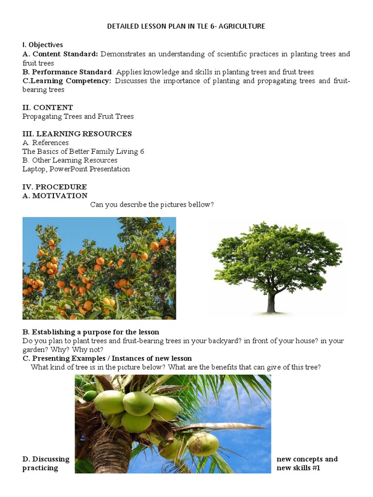 Detailed Lesson Plan in Tle 6 | PDF | Trees | Plants