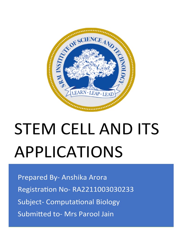 Sources of Stem Cells | Download Free PDF | Cell Potency | Stem Cell