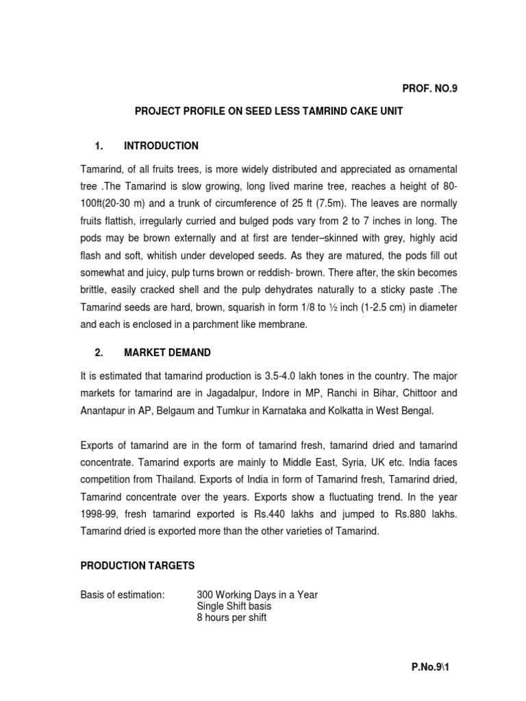 Seedless Tamarind Processing Project Report | PDF | Economies | Business