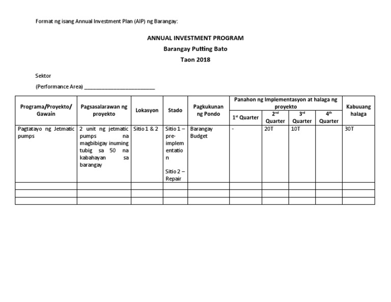 Barangay Annual Investment Plan Template | PDF