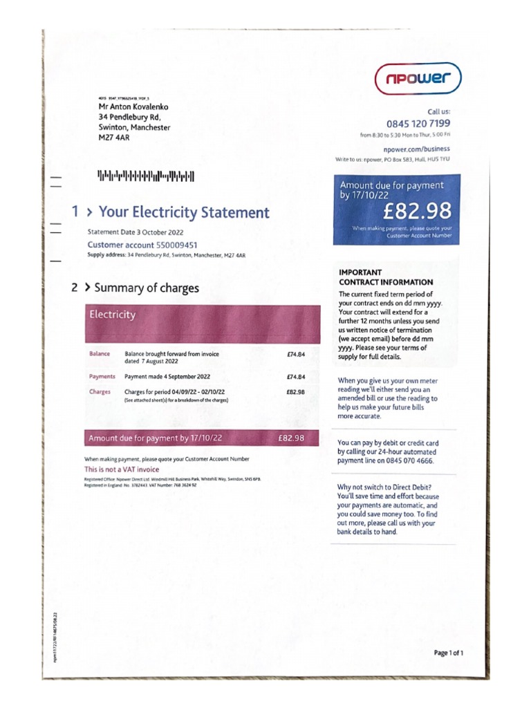 Electricity Statement | PDF