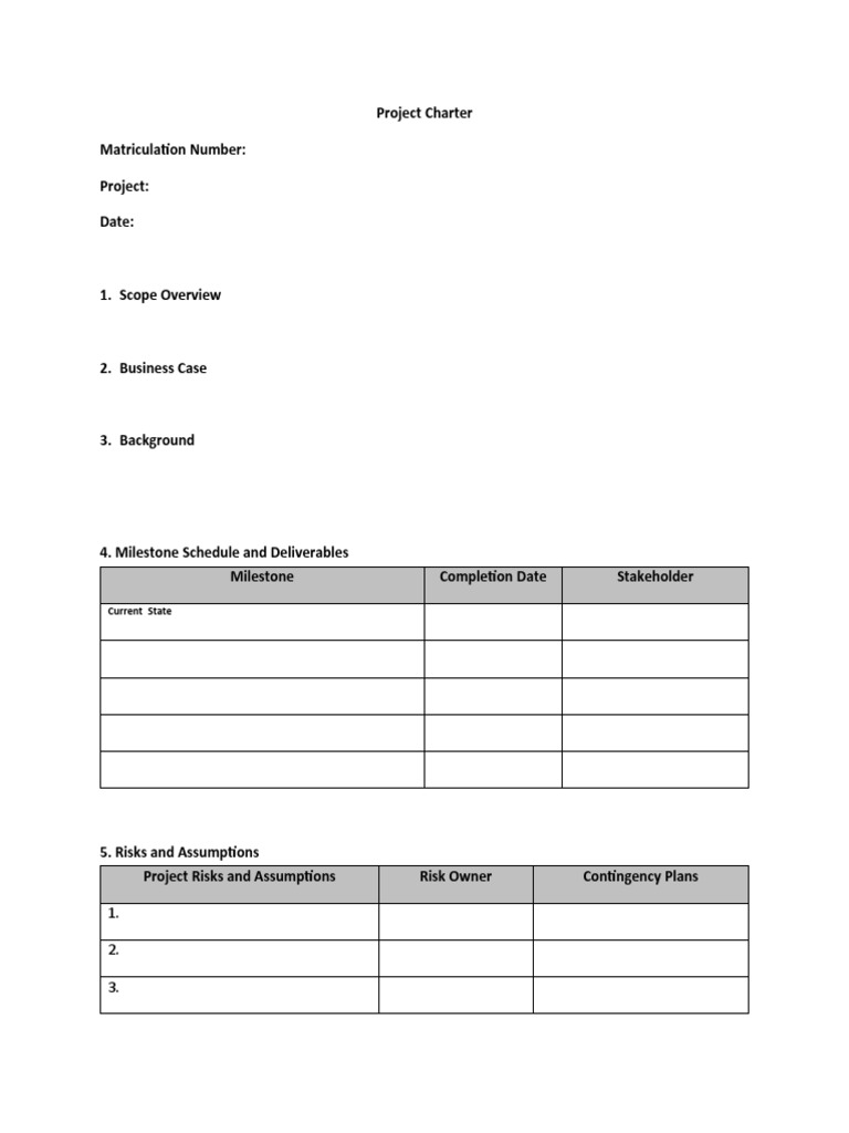 Project Charter Template | PDF | Business