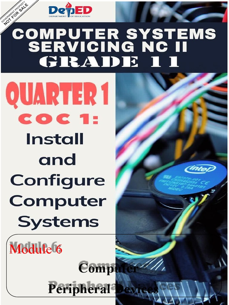 Computer Peripheral Devices | PDF