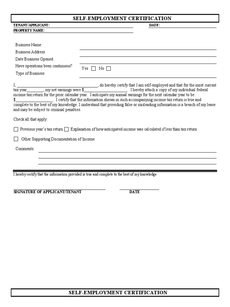 Income Self Employment VA | PDF