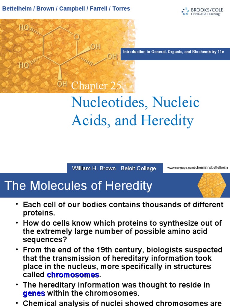 Nucleic Acids PPT (B) | Download Free PDF | Dna | Primer (Molecular Biology)