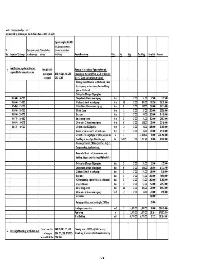 CAR Claim Statement Format | PDF | Manufactured Goods