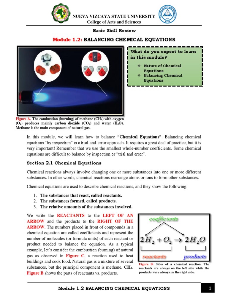 Module 1.2 Chem Eng-Converted (1 | PDF | Chemical Reactions | Chemical ...