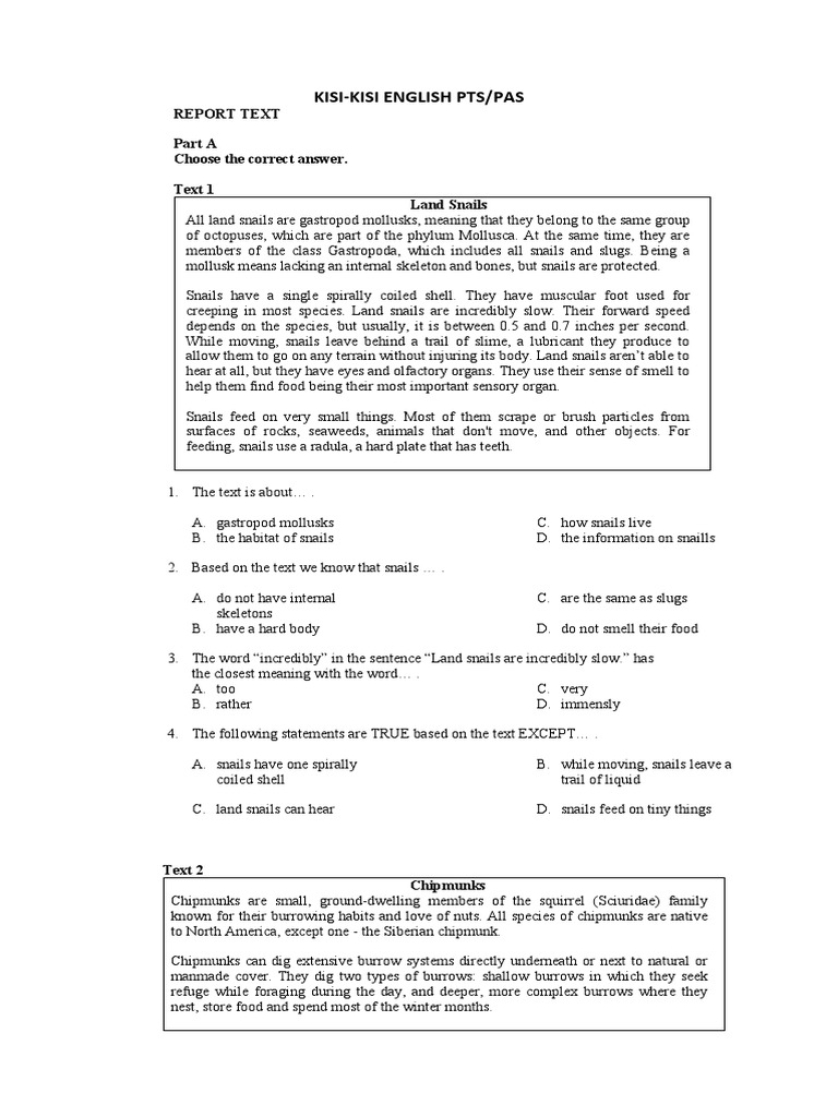 Kisi-Kisi English PTS | PDF