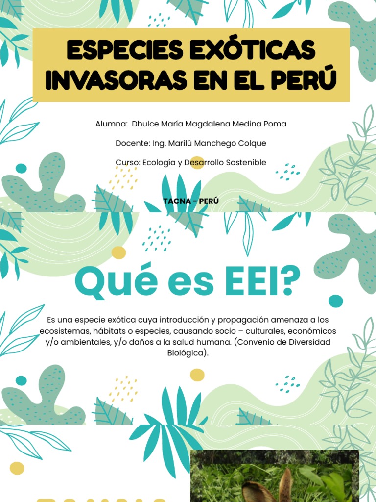 ESPECIES EXÓTICAS INVASORAS EN PERU - Dhulce Medina Poma | PDF