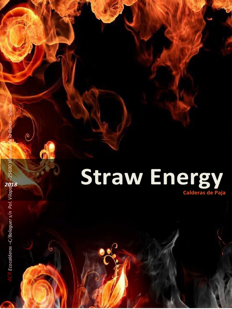 Paja y Caracteristicas Straw Energy Nº9.2 | PDF | Biomasa | Combustión