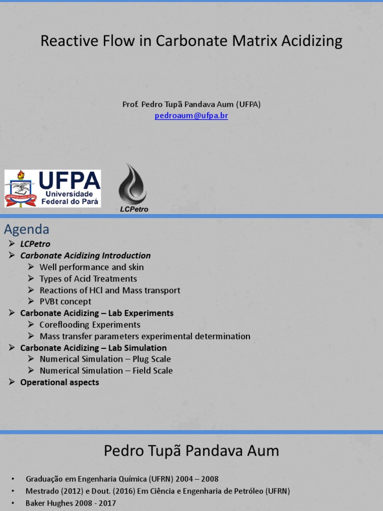 2022 - Carbonate Acidizing - Reactive Flow - UFRN R1 | PDF ...